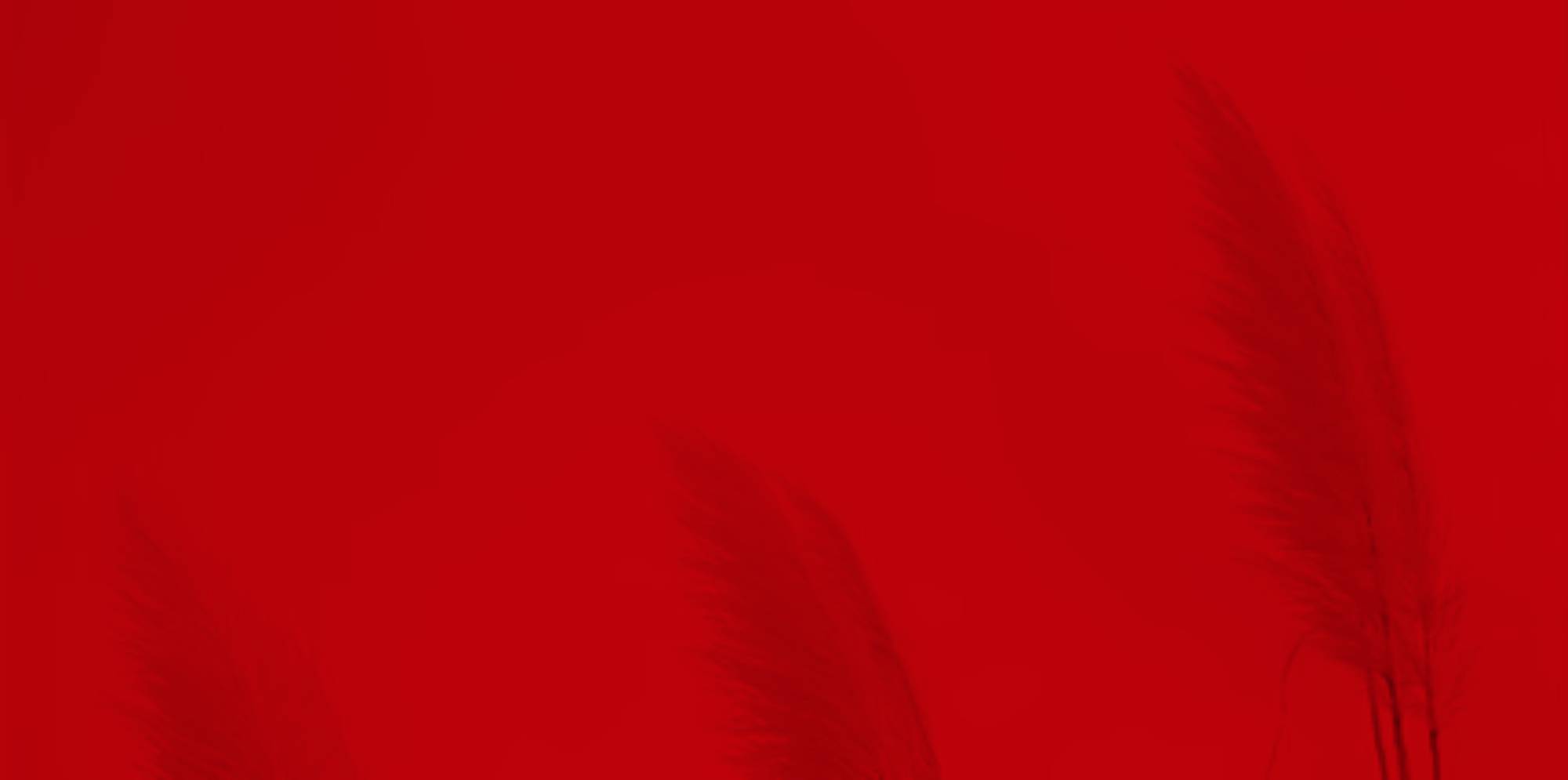 Perfume – Laluna Perfumes